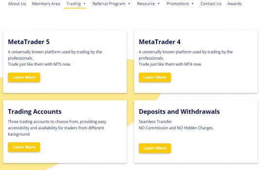 Dollars Markets Review 2025: Is It Legit Or A Scam? - PIP Penguin