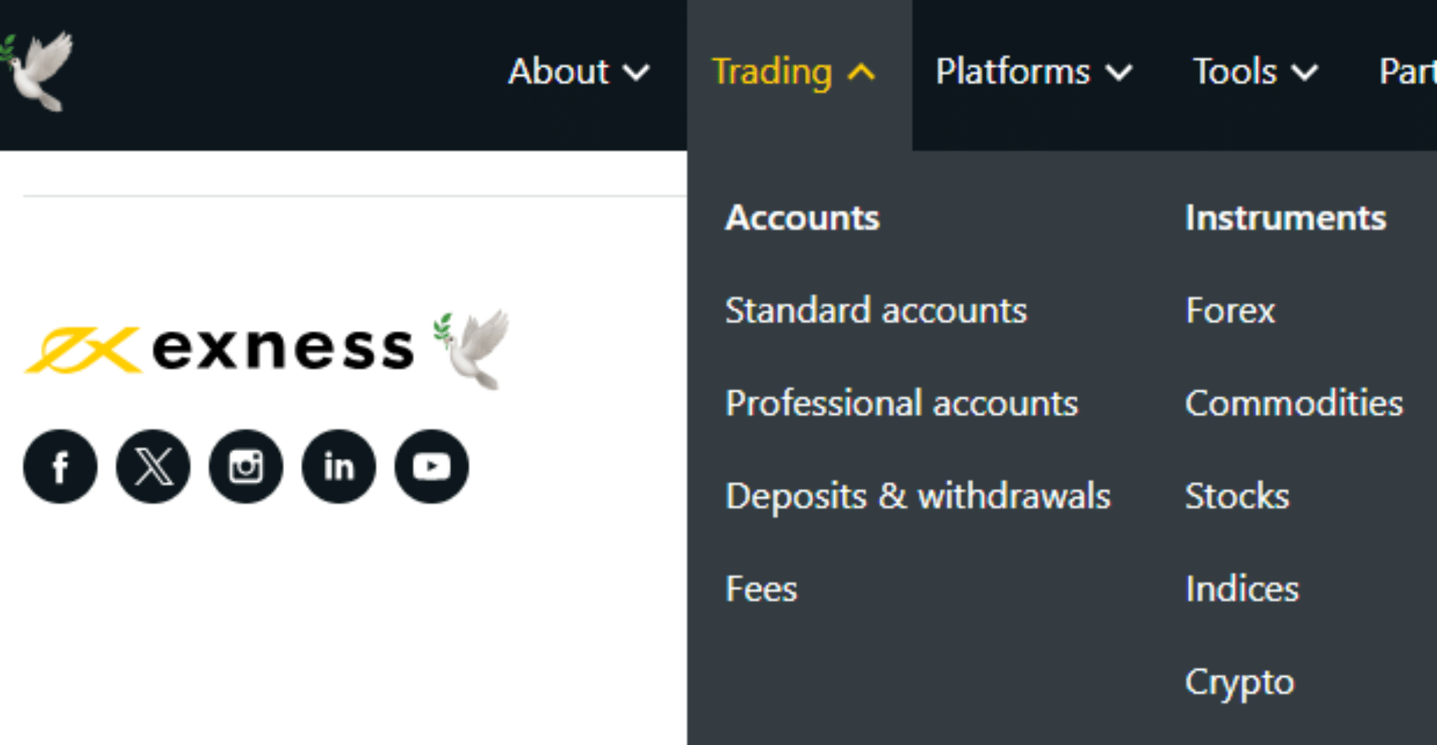 Exness Review 2025 | Pros, Cons & Overall Rating