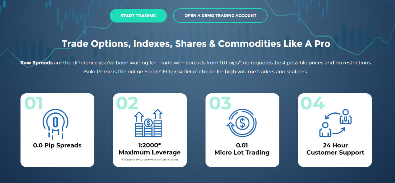 Bold Prime Broker Review 2025: Everything You Need To Know - PIP Penguin